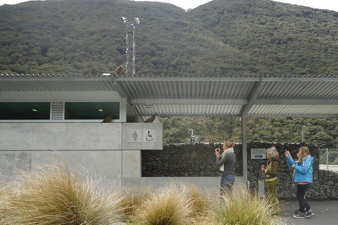 Arthurs Pass and Southern Alps Day Excursion from Port Lyttelton or Christchurch - FAQ