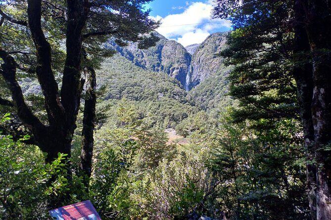 Arthur's Pass with optional TranzAlpine Train (Small Group Tour) - Stops Along the Way