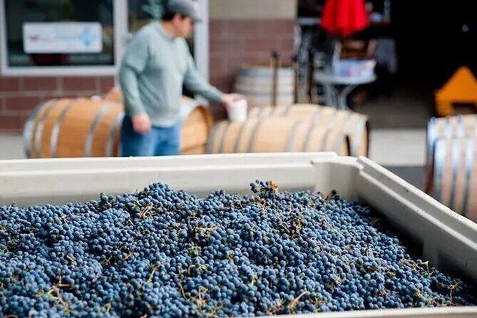 Artisan Hill Wine Pass in Woodinville - A Balanced Look at the Artisan Hill Wine Pass in Woodinville