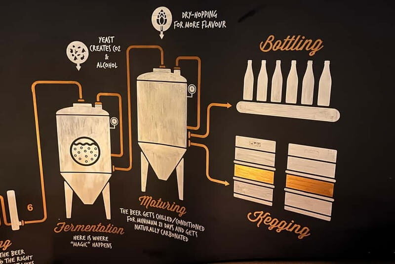 Artisanal Beer Tasting - An Honest Look at the Artisanal Beer Tour