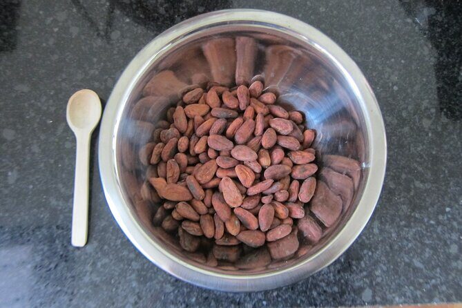 Artisanal Chocolate Bean to Bar Workshop in Cancún - Final Thoughts