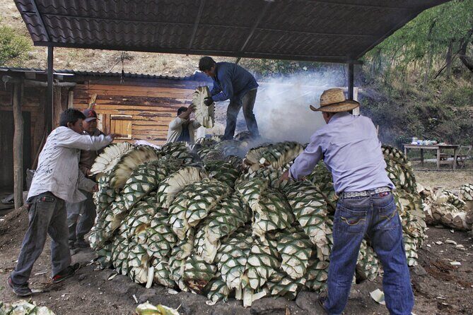 Artisanal Mezcal distillery in an authentic Zapotec village - Practical Details and Logistics