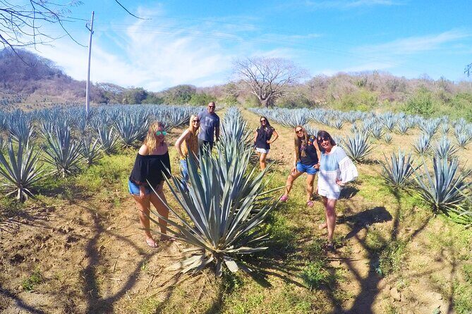 Artisans Town and Agave Distilled Factory - Who Will Love This Tour?