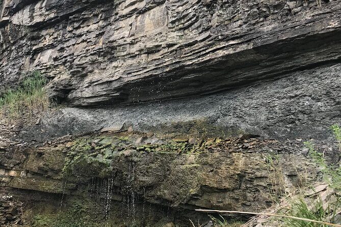 Artpark Guided Tour with Hiking and Climbing Experience - Authentic Stories and Perspectives