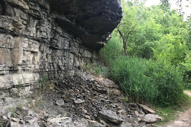 Artpark Guided Tour with Hiking and Climbing Experience - The Practicalities: What to Know Before You Go