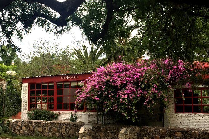 Arts and Snacks Walking Tour with Taste of San Miguel - Who Will Love This Tour?