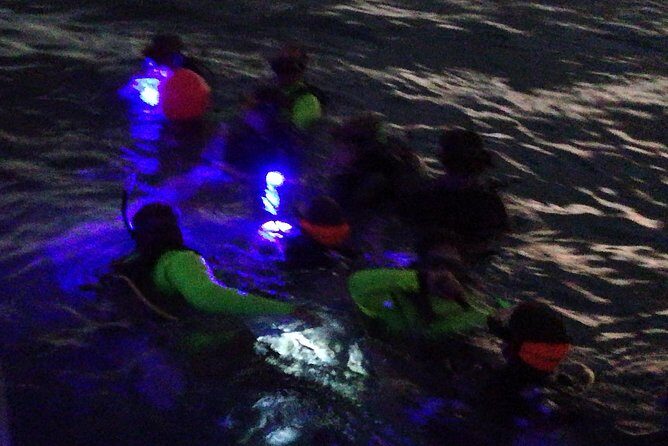 Aruba 1-Tank guided UV Night Dive for certified divers with rental equipment - Key Points