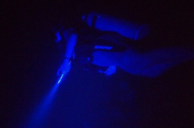 Aruba 1-Tank guided UV Night Dive for certified divers with rental equipment - FAQ