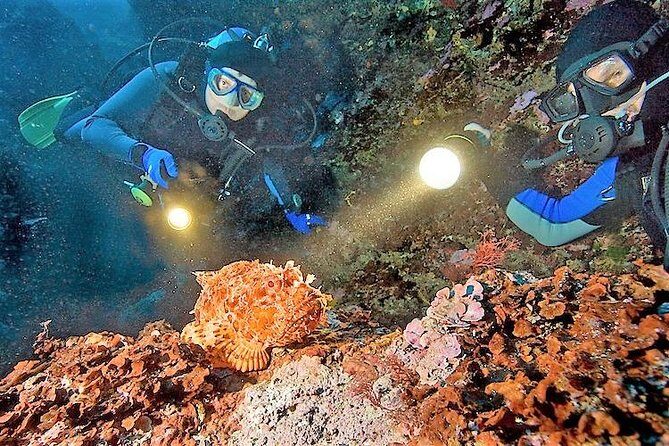 Aruba 1-Tank Night Dive for Certified Divers / rental Equipment - Key Points