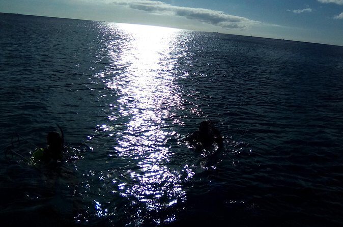 Aruba 1-Tank Night Dive for Certified Divers / rental Equipment - The Sum Up