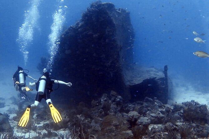 Aruba 2-Tank Dive Excursion for Certified Divers - Equipment and Pricing: What’s Included and What’s Not