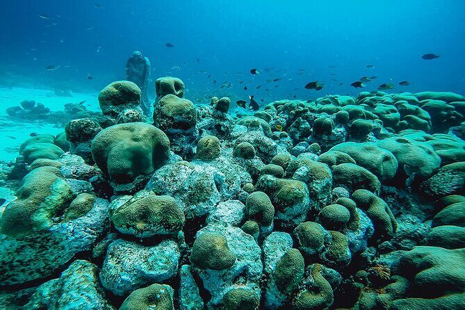 Aruba 2-Tank Dive Excursion for Certified Divers - The Atmosphere and Crew: What Passengers Say