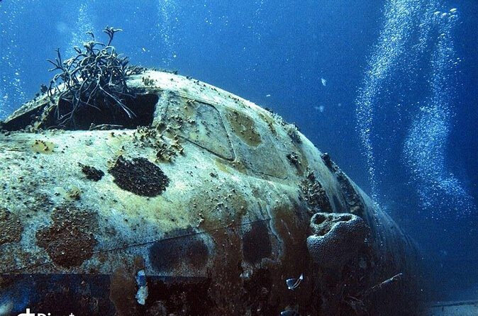 Aruba 2-Tank Guided Dive for Certified Divers / rental equipment - The Sum Up: Who Is This Tour For?