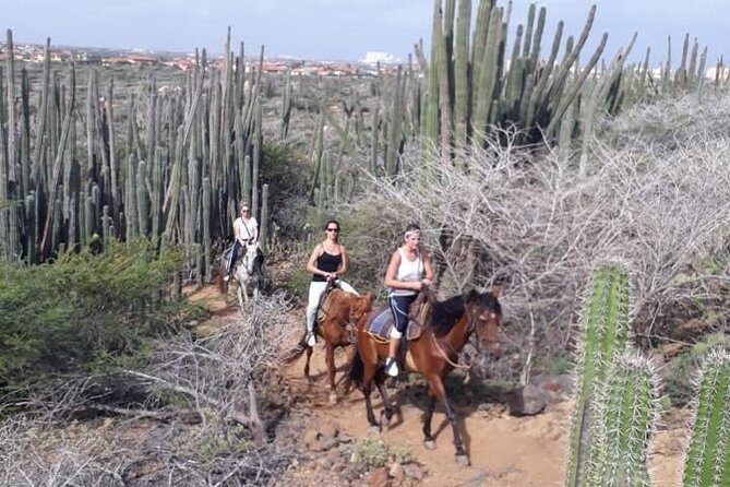 Aruba 2,5 hrs Horseback Riding For Advanced Riders - Exploring Aruba’s Wild Side: What to Expect
