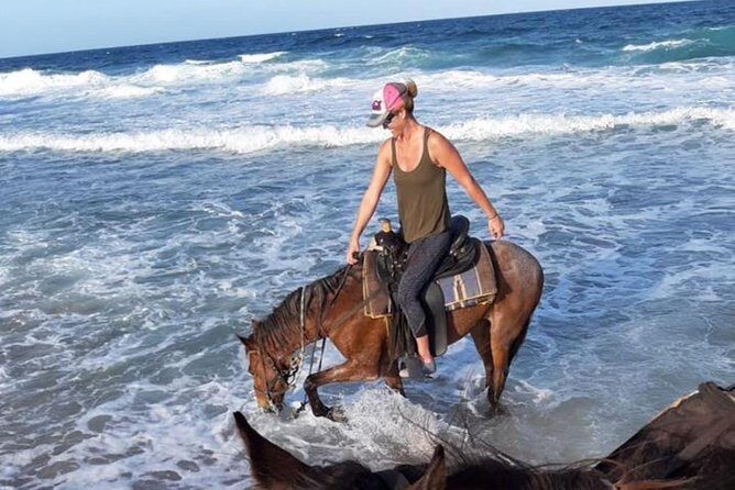 Aruba 2,5 hrs Horseback Riding For Advanced Riders - Why This Tour Stands Out
