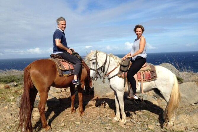 Aruba 2,5 hrs Horseback Riding For Advanced Riders - Practical Tips for Participants