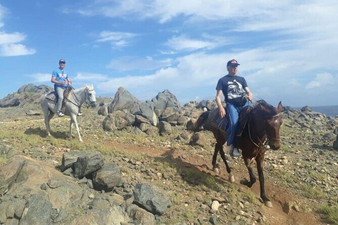 Aruba 2,5 hrs Horseback Riding For Advanced Riders - FAQs