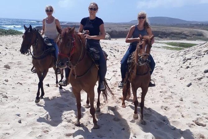 Aruba 2,5 hrs Horseback Riding For Advanced Riders - Final Word