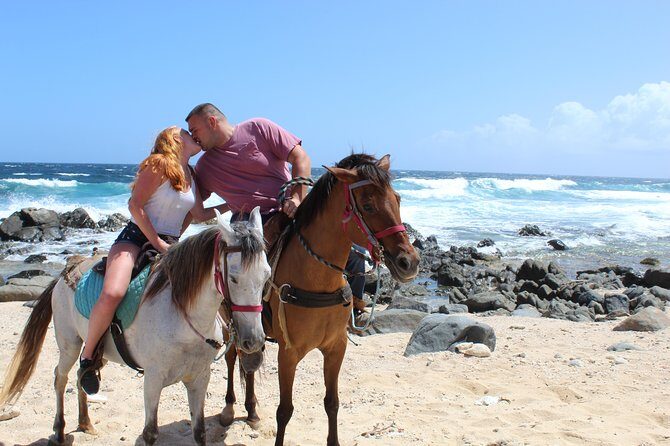 Aruba Beach Ecological Horseback Ride - An In-Depth Look at the Aruba Ecological Horseback Ride