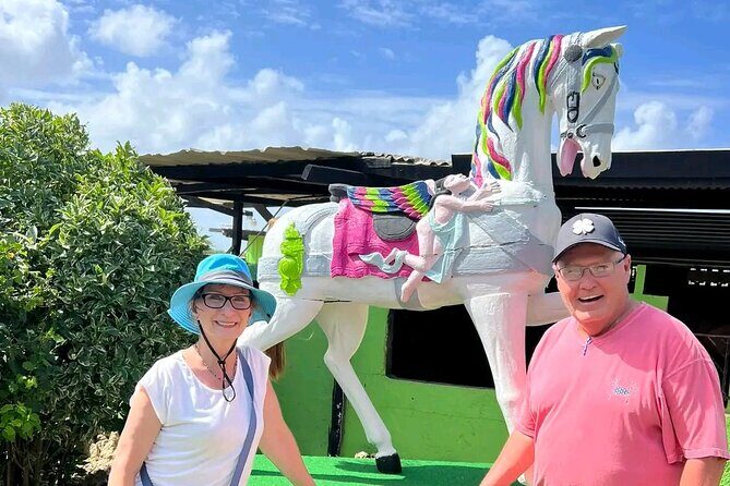 Aruba Beach Ecological Horseback Ride - Who Should Consider This Tour?