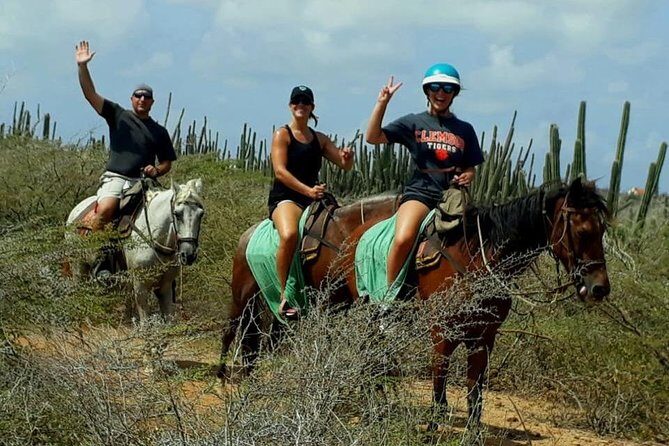 Aruba Countryside: Horseback Adventure to Urirama Cove - An In-Depth Look at the Experience