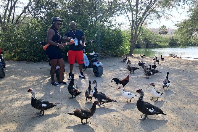 Aruba Electric Scooter Rental (1 or 2-seater) - FAQ