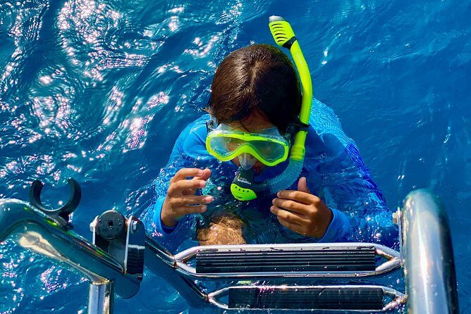 Aruba Element Private Boat Charter (After-Lounge) - What About Price and Value?