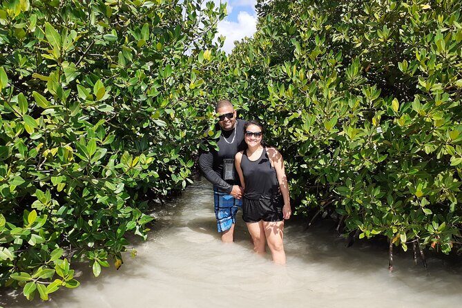 Aruba Glass Bottom Kayak Tour through the Mangrove Forest - Why This Tour Is Worth Considering