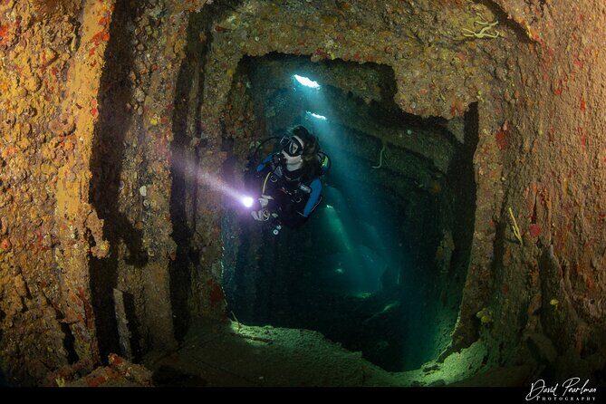 Aruba Guided Night Dive Adventure: Shallow Reefs or Shipwrecks - The Experience of Safety and Comfort