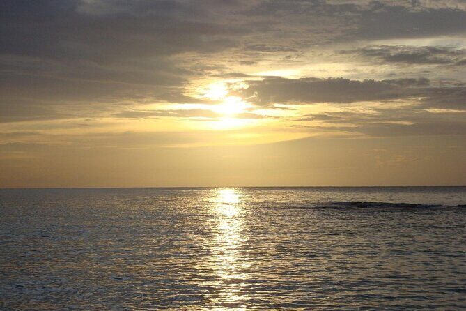 Aruba Highlights 7 Days and 6 Nights - A Deep Dive into the Aruba Highlights Tour