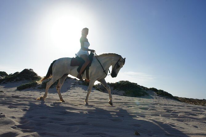 Aruba Horseback Riding Tour For Advanced Riders - Pricing and Value