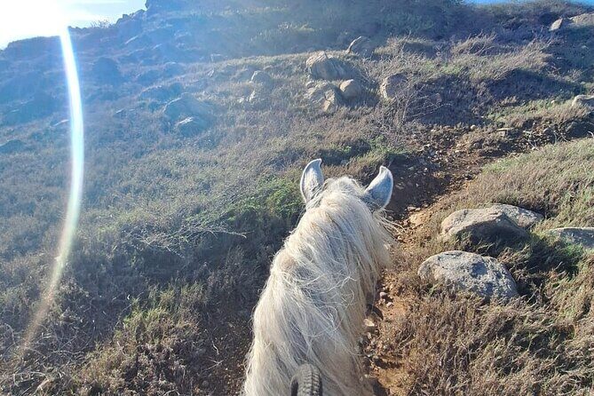 Aruba Horseback Riding Tour For Advanced Riders - Transportation and Convenience