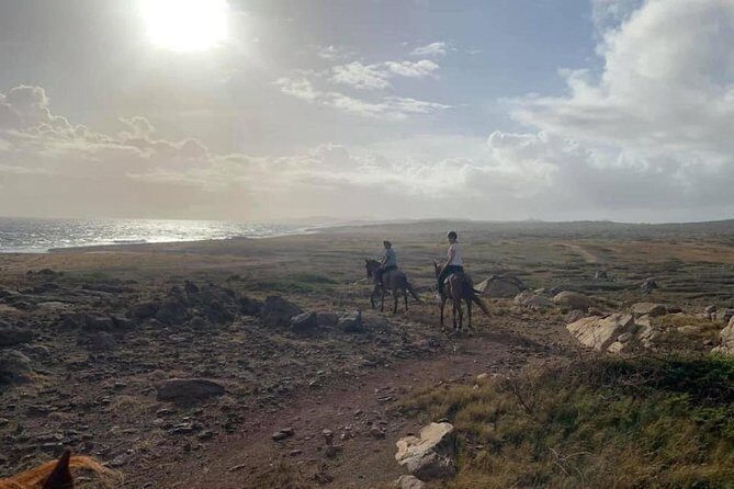 Aruba Horseback Riding Tour to Alto Vista Chapel - What to Keep in Mind