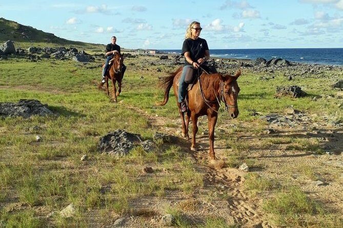 Aruba Horseback Riding Tour to Alto Vista Chapel - Who Should Book This Tour?