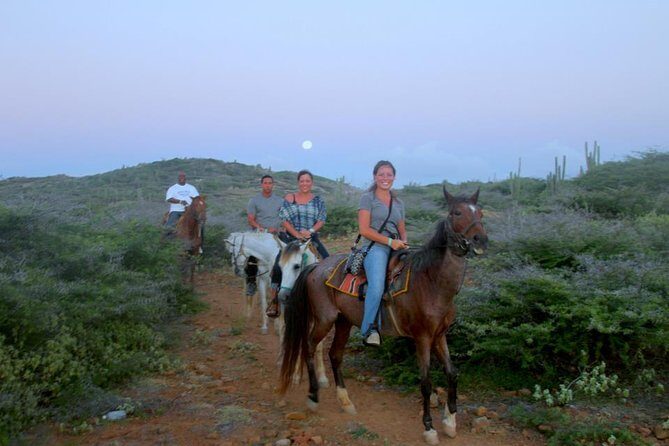 Aruba Horseback Riding Tour to Hidden Lagoon - What Makes This Tour Stand Out?