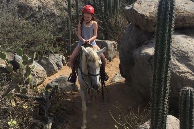 Aruba Horseback Riding Tour to Hidden Lagoon - The Sum Up