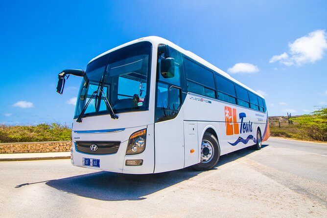 Aruba Island Sightseeing Tour - Who Will Benefit Most from This Tour?