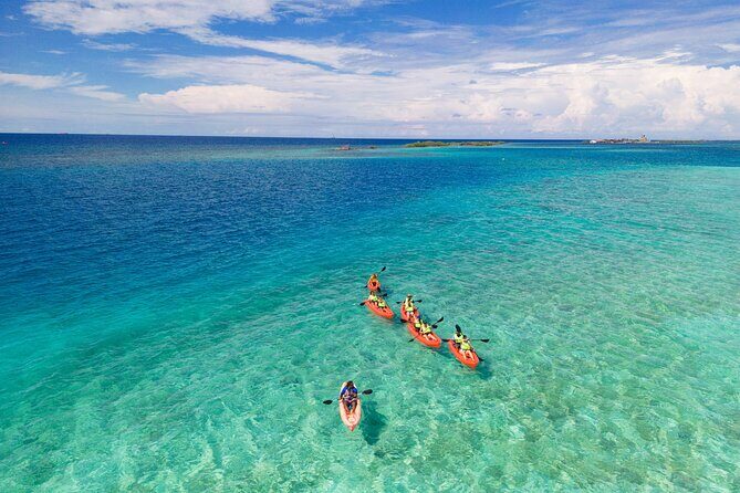 Aruba Kayak Explorers - What to Expect: From Lagoon to Reef