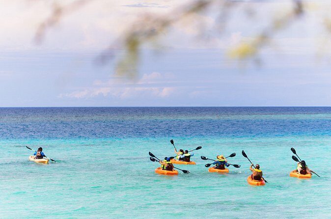 Aruba Kayak Explorers - Who Should Book This Tour?
