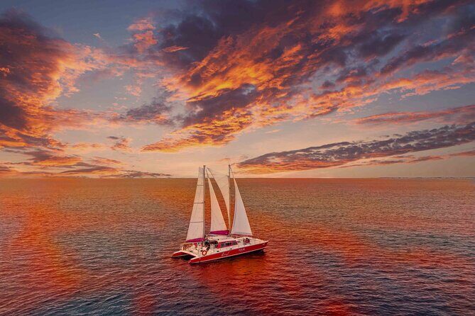 Aruba Morning Snorkeling or Sunset Sail to Boca Catalina With BBQ - Key Points