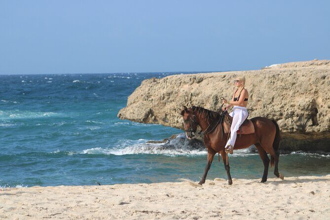Aruba North Coastline: Small-Group Horseback Riding Tour - The Practical Side: What to Know Before You Book