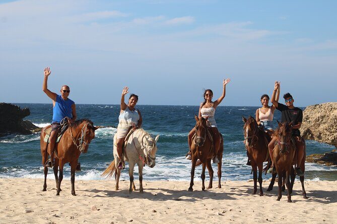 Aruba North Coastline: Small-Group Horseback Riding Tour - The Sum Up: Is This Tour for You?