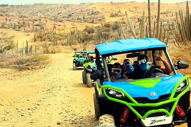 Aruba Northcoast UTV Afternoon Tour - Who Will Love This Tour?