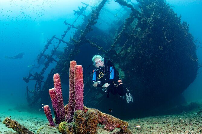 Aruba One or Two Tank Scuba Dive - Who Should Consider This Tour?
