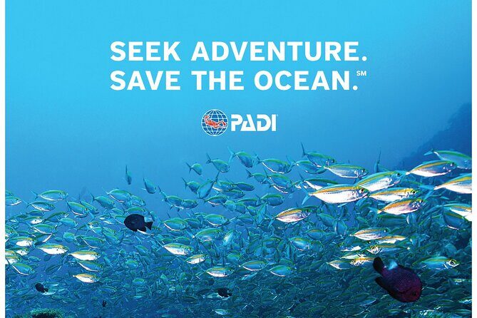 Aruba PADI Scuba Diving Program Non Certified Divers - Who Should Consider This Tour?