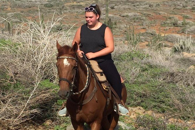 Aruba Private, 2 Hour Horseback Riding Tour For Advanced Riders - Key Points