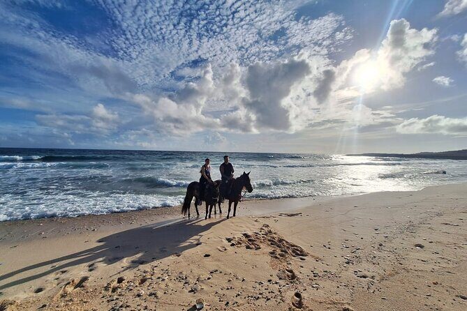 Aruba Private, 2 Hour Horseback Riding Tour For Advanced Riders - Who Will Love This Tour?