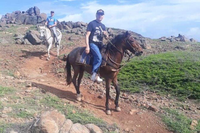 Aruba Private, 2 Hour Horseback Riding Tour For Advanced Riders - The Sum Up: Is This Tour Worth It?