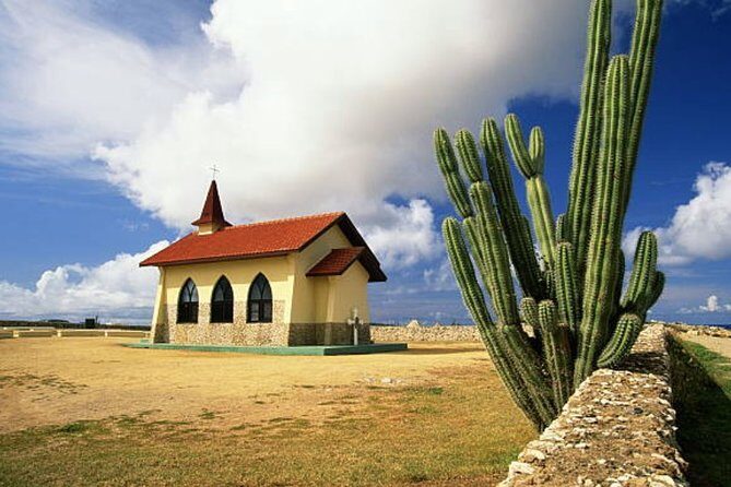 Aruba Shore Excursion: The Highlights and Delights Tour - What’s Included and What’s Not