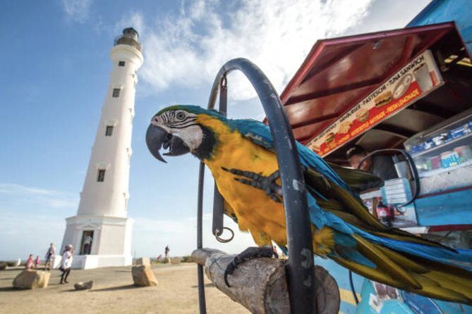 Aruba Shore Excursion: The Highlights and Delights Tour - Who Should Consider This Tour?